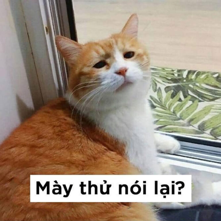 Mlem mlem có nghĩa là gì? Mà tại sao giới trẻ nào cũng biết