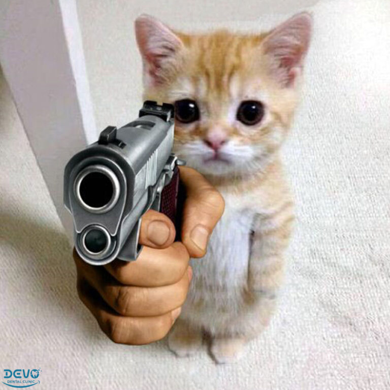 1001+ Meme hình ảnh mèo cười, khóc, sốc, cười hài hước, vui vẻ